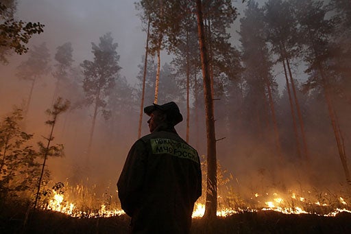 Russian Wildfires