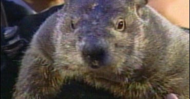 Boy Meets Groundhog - CBS News