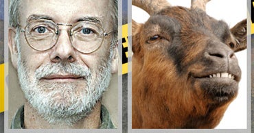 Wash. Hiker Killed by Aggressive Mountain Goat - CBS News