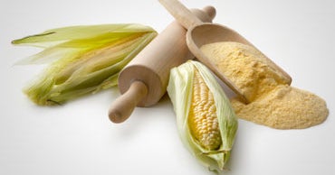 Stone Age Menu Featured Flour From Wild Grains - CBS News