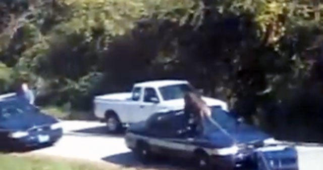 Chimpanzee vs. Police Car: Video of 300-Pound Chimp Attacking Police ...