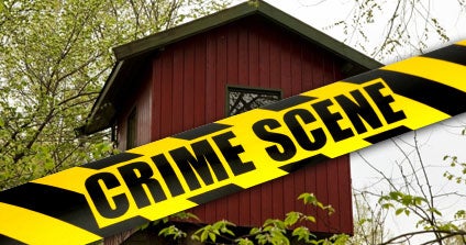 Tree-House Root of Trouble for Colo. Man; Told to Take It Down or Else ...