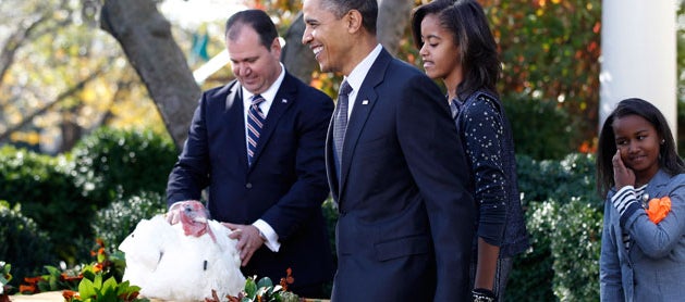 Obama Turkey Pardon: "It Feels Pretty Good to Stop at Least One ...