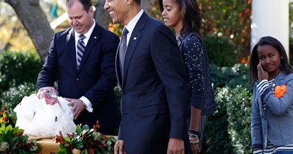 Obama Turkey Pardon: "It Feels Pretty Good to Stop at Least One ...