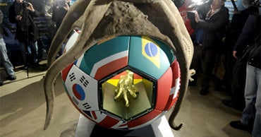 Paul, World Cup Octopus Oracle, Memorialized - CBS News