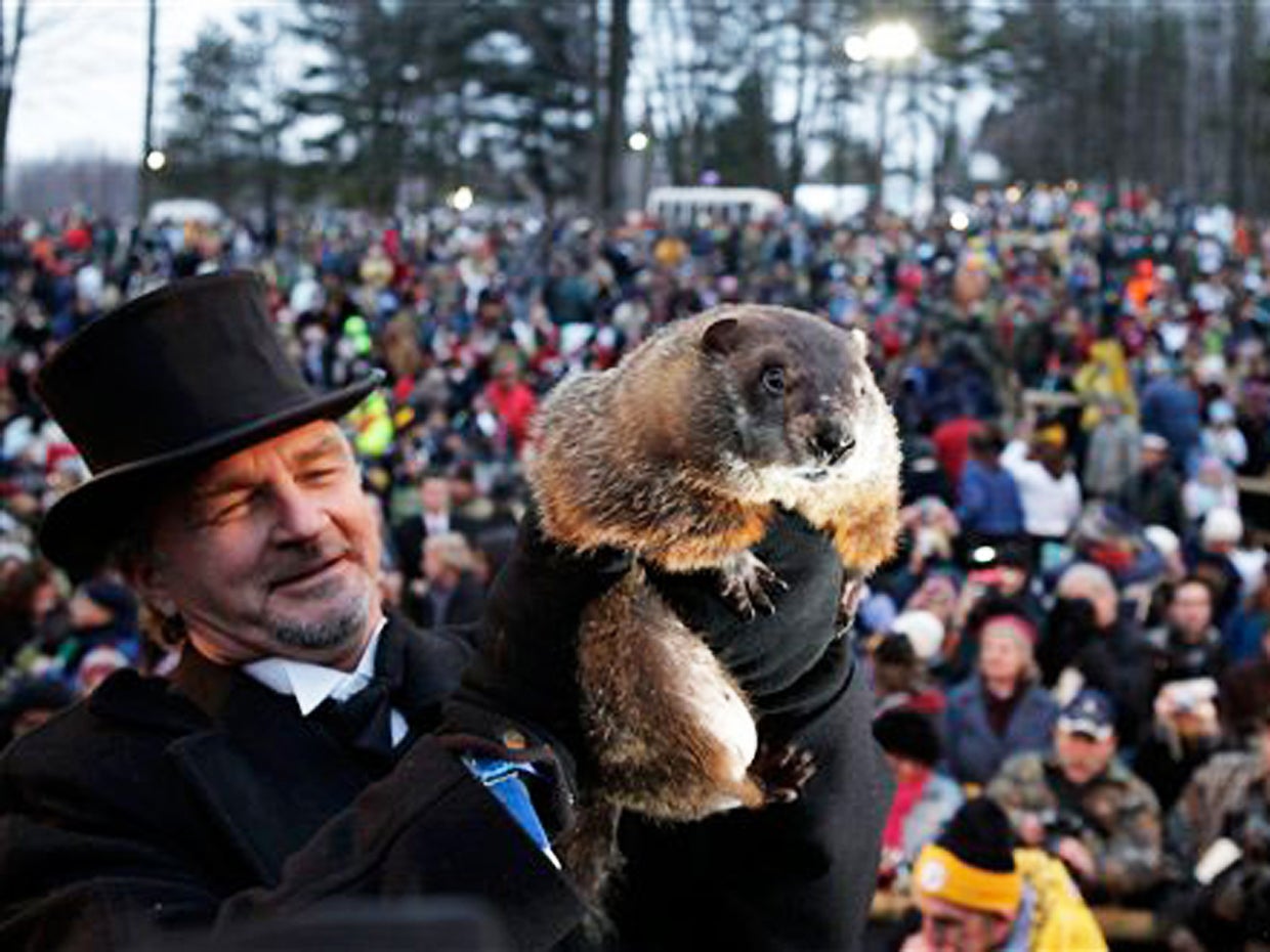 Punxsutawney Phil Through the Years