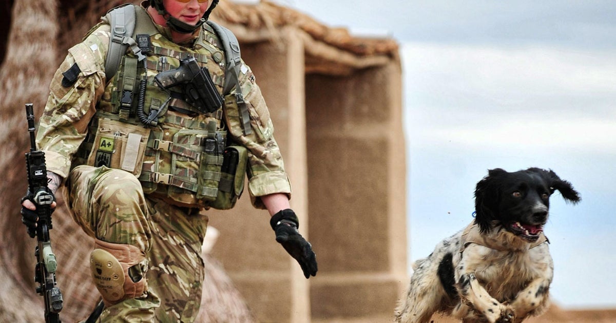 Solider and loyal dog make final trip together - CBS News