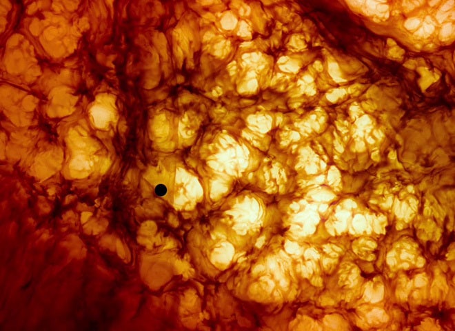 The films of Terrence Malick