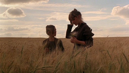 The films of Terrence Malick