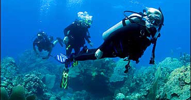 Scuba diving could raise hope for the paralyzed - CBS News