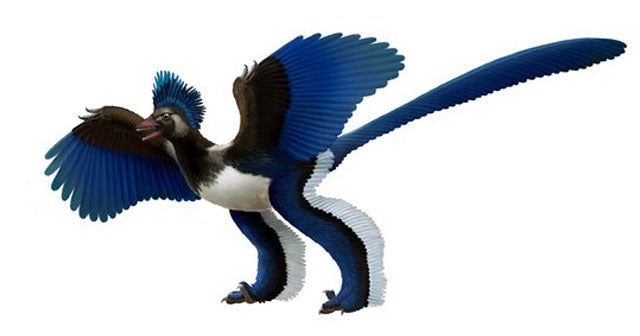 A bird, a dinosaur - or something in between? - CBS News