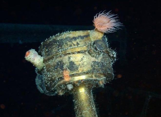 Wreck of WWII ship with $210M in silver found - CBS News