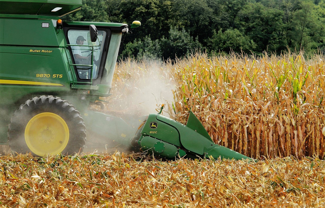 FDA rejects industry bid to change name of high fructose corn syrup to ...