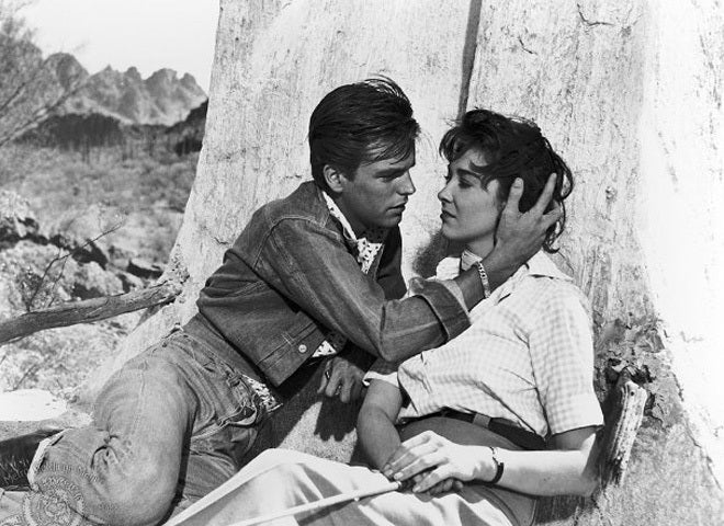 Robert Wagner