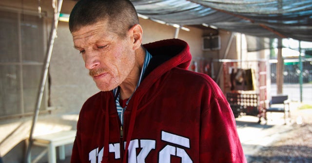 Rescue group in crisis mode after cat euthanized - CBS News