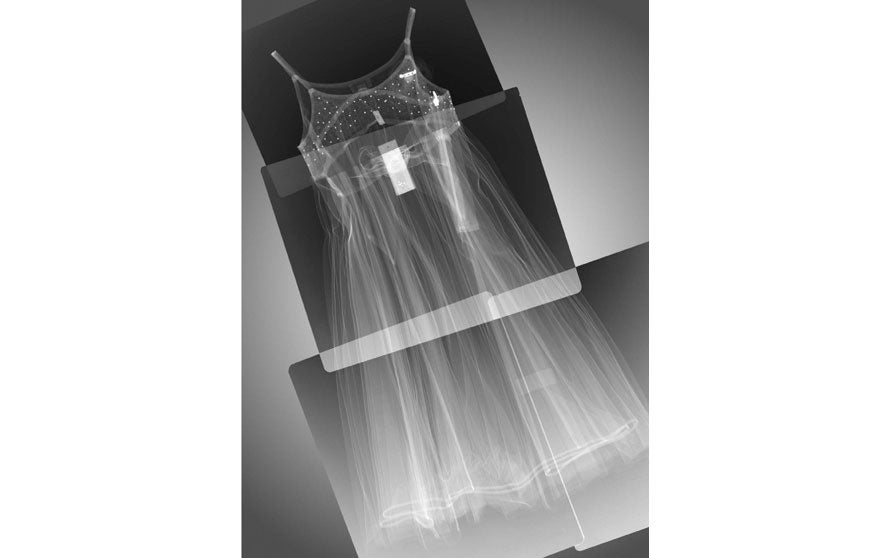 Amazing X-ray art reveals hidden beauty