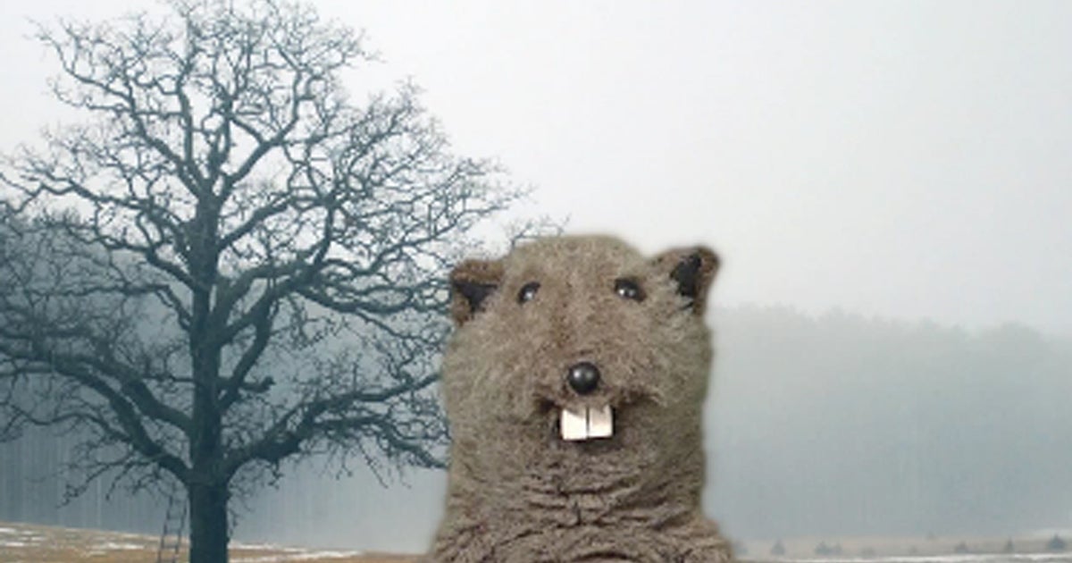 The significance and history behind Groundhog Day - CBS News
