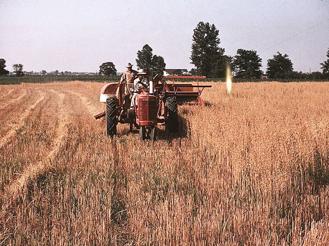 Rare color photos from 1930s-40s