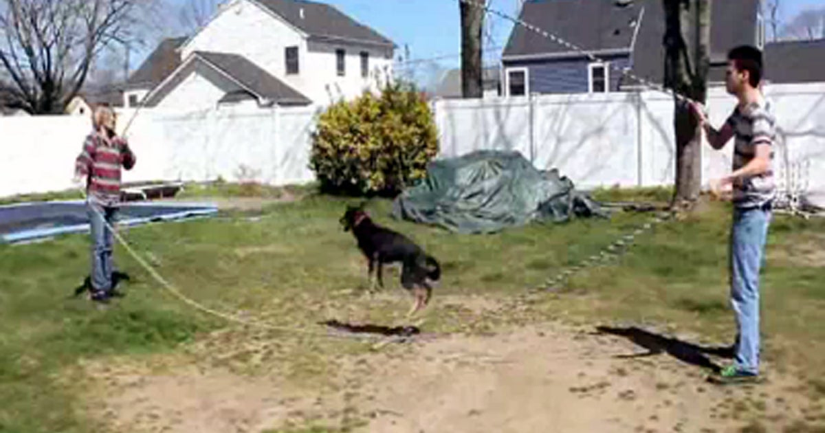 Double dutch jumping dog will totally blow your mind - CBS News