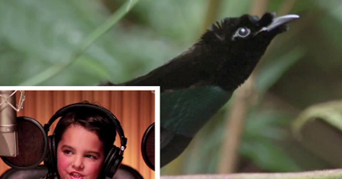 What if kids narrated the BBC's "Planet Earth"? - CBS News