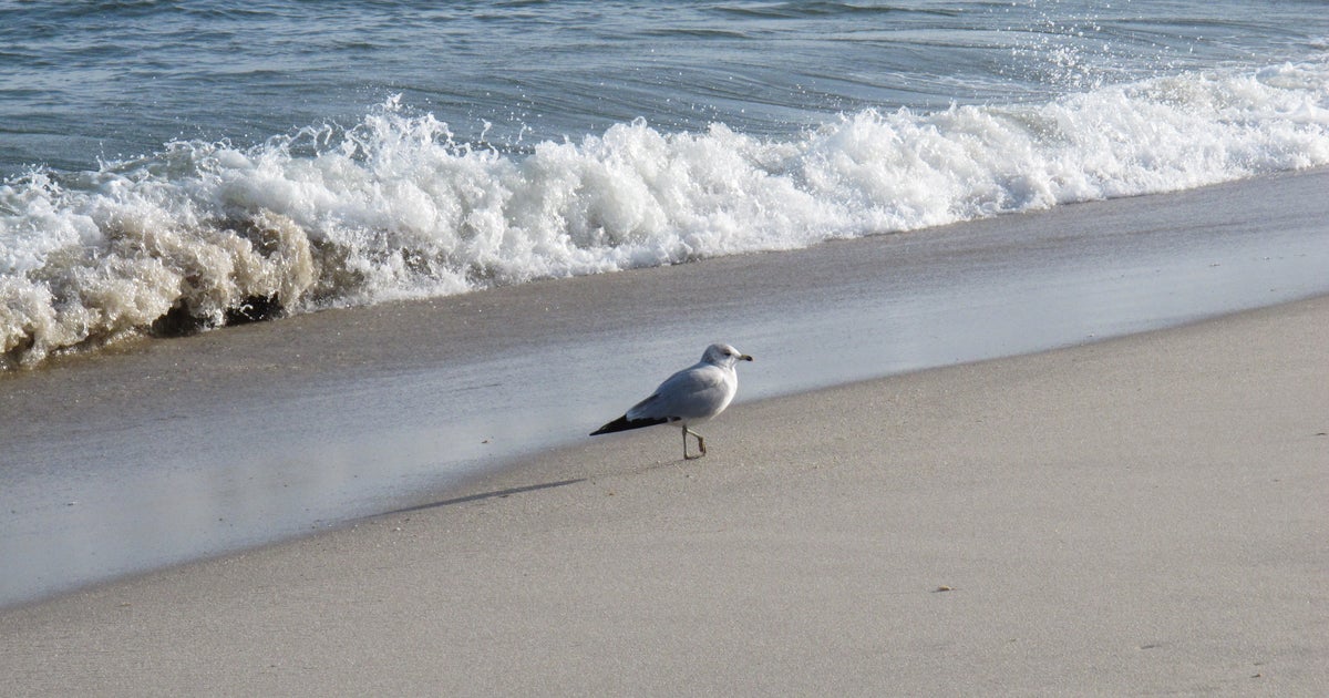 Mysterious changes in ocean salt spur NASA expedition - CBS News