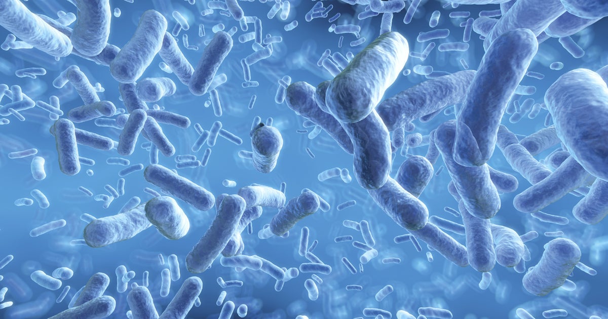 Microbes may have caused Earth's biggest extinction - CBS News