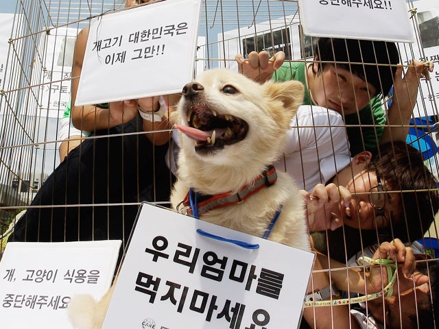 Anti-dog meat protest held in South Korea