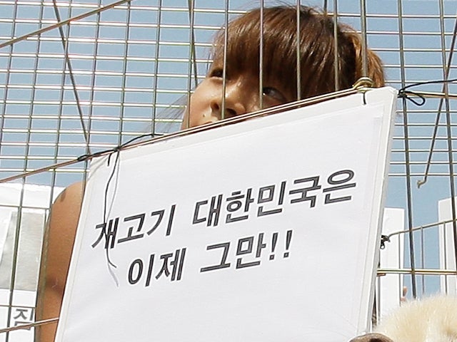 Anti-dog meat protest held in South Korea