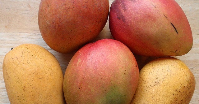 73 sickened by salmonella-tainted mangoes, say California health ...