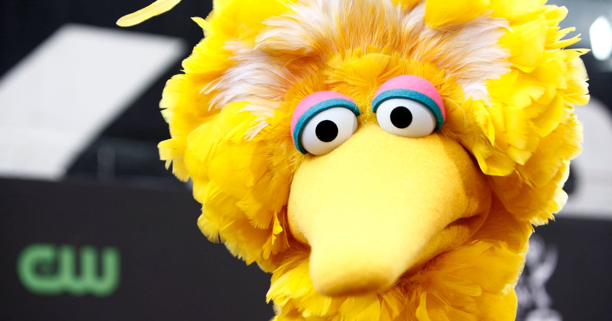 Big Bird swoops into presidential campaign - CBS News