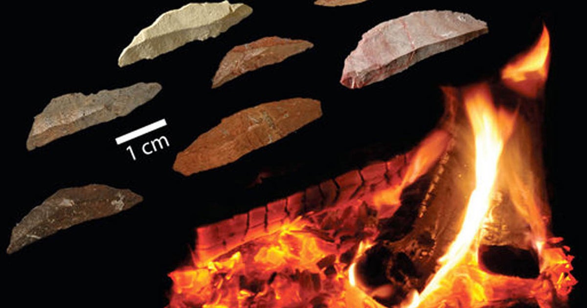 Complex tool discovery argues for early human smarts - CBS News