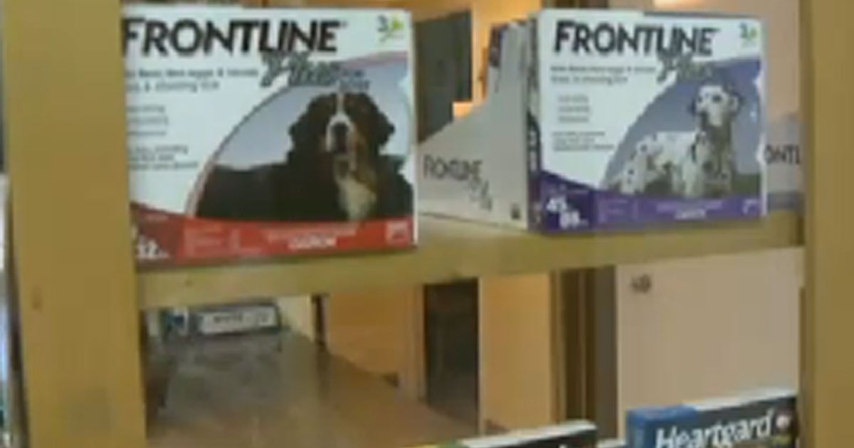 Frontline flea medication apparent target of animal clinic thieves ...