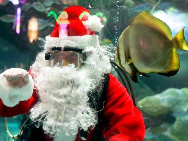 Underwater Santa Claus
