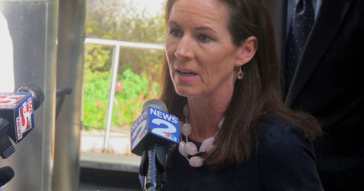 Jenny Sanford opts out of congressional run - CBS News