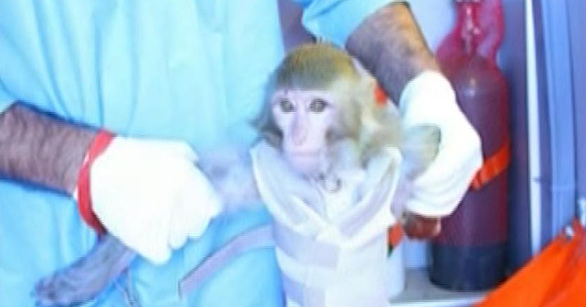 Iran: We've sent a monkey to space - CBS News