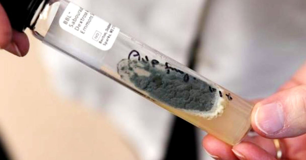 FDA investigators find safety concerns at 30 drug compounding ...