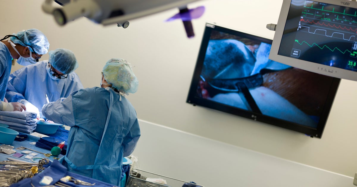 Too many beeping alarms to blame for dozens of hospital deaths per year ...