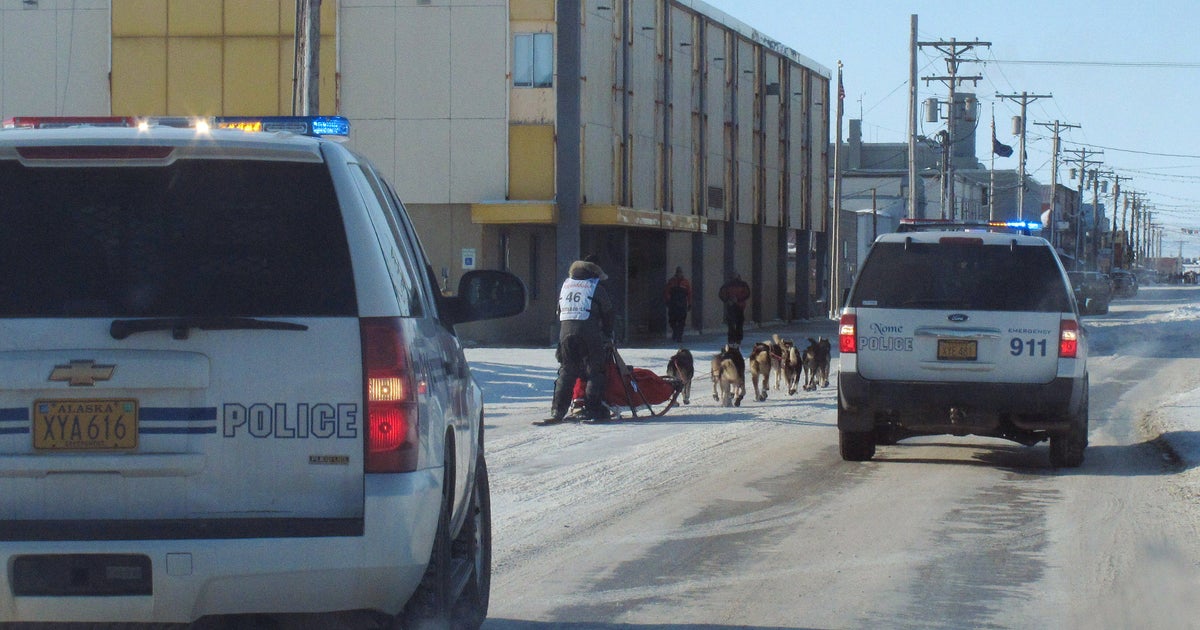 Iditarod dog died of asphyxiation, buried in snow - CBS News