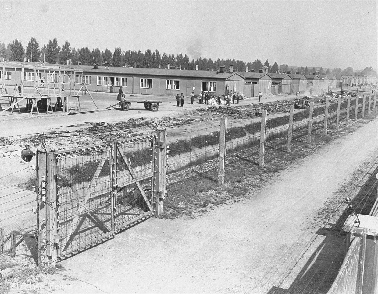 Dachau remembered - 80 years later