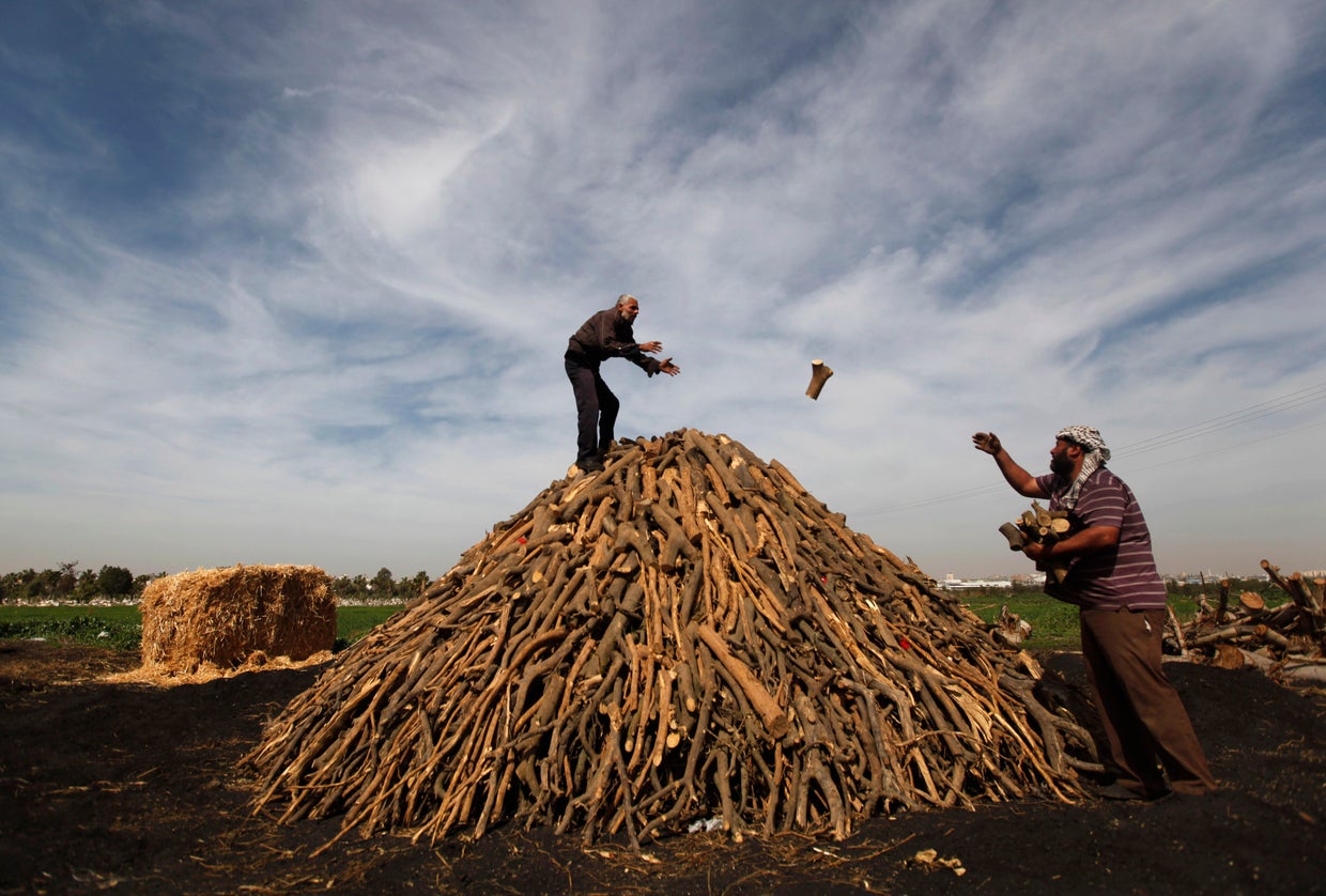 In Gaza, wood is turned to charcoal
