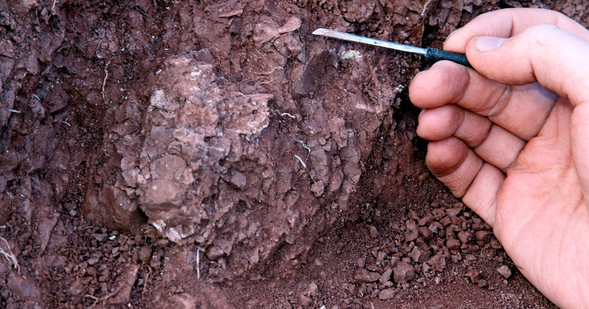 190M-year-old dino embryos shed light on development - CBS News