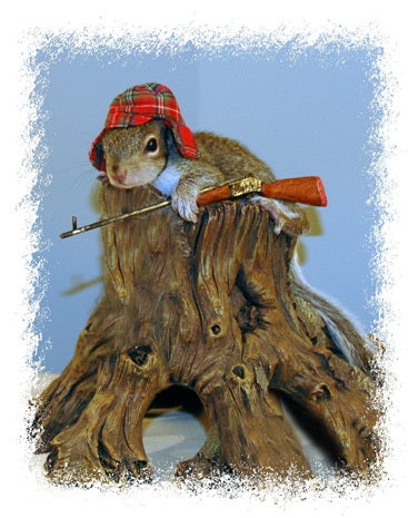 The most photographed squirrel in the world