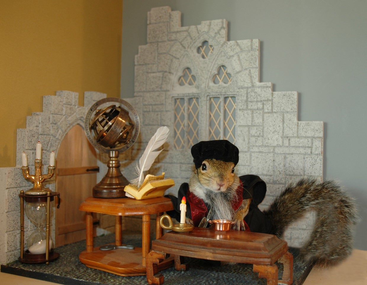 The most photographed squirrel in the world