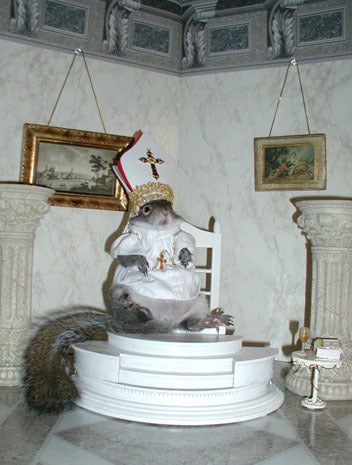 The most photographed squirrel in the world