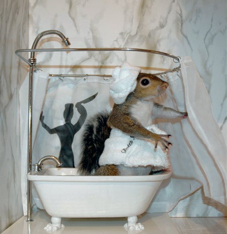 The most photographed squirrel in the world