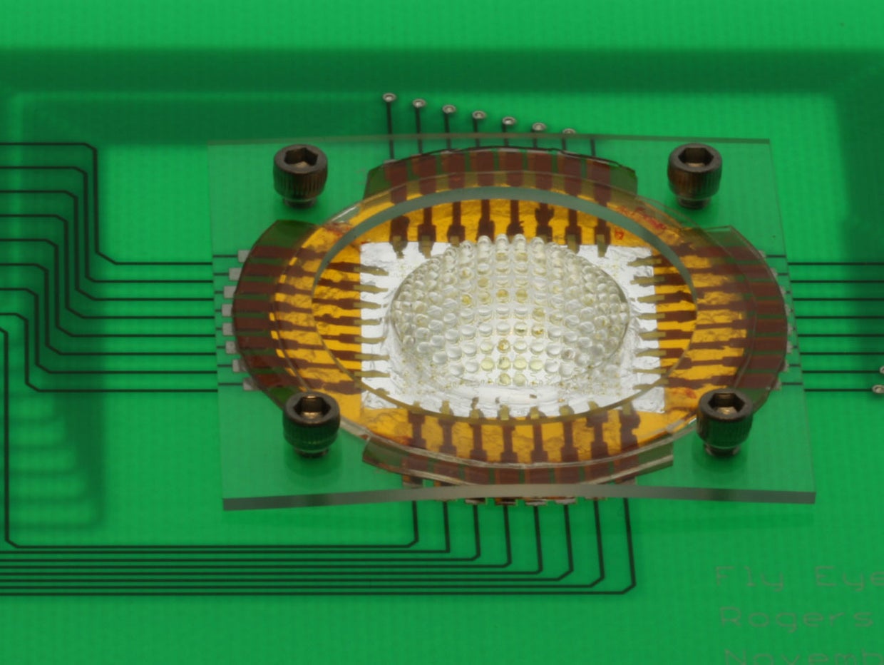 Bug's view inspires new camera lens