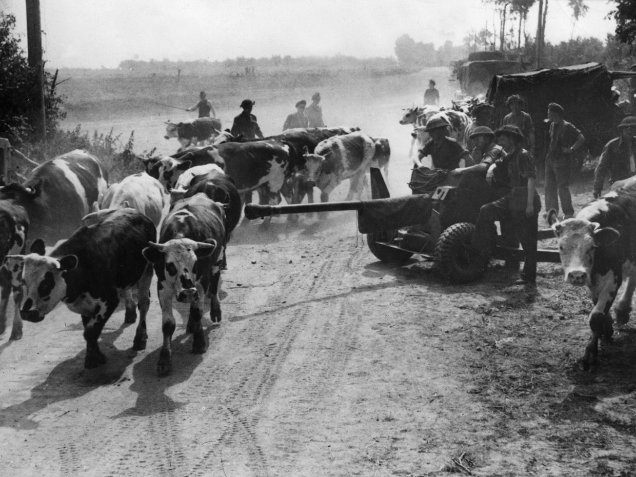 D-Day: When the Allies turned the tide