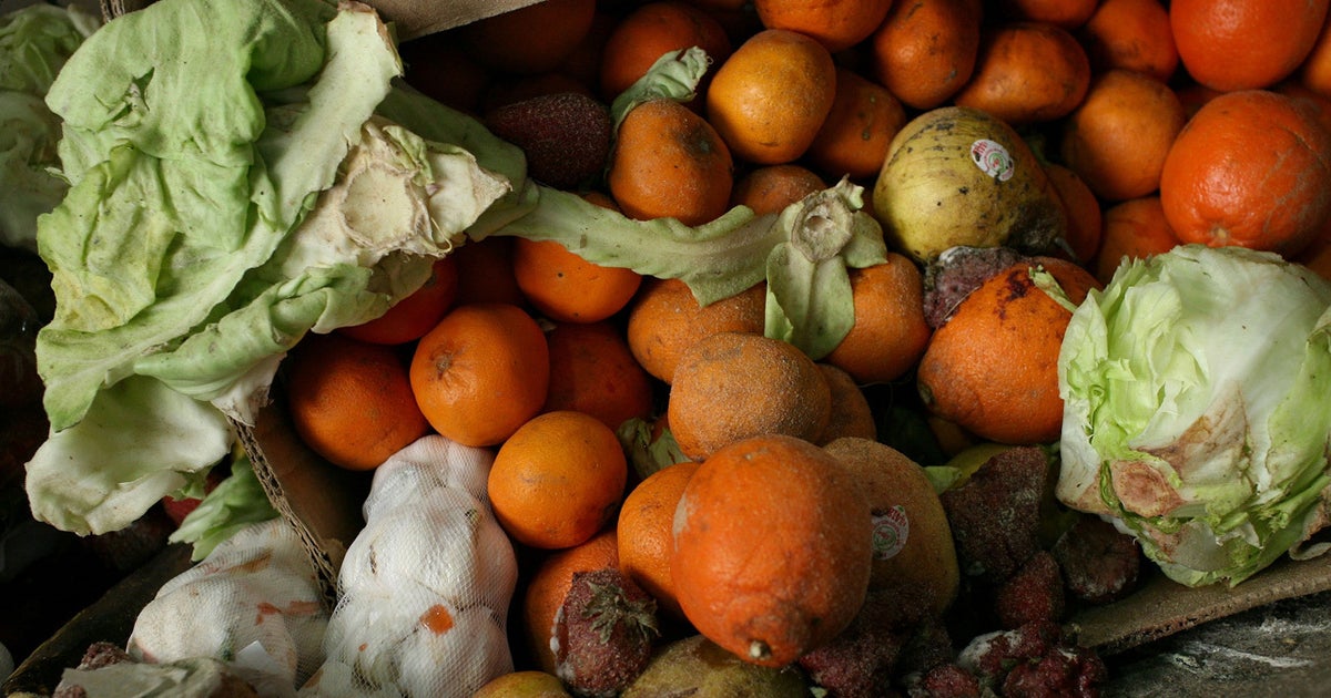 Government works to reduce food waste - CBS News