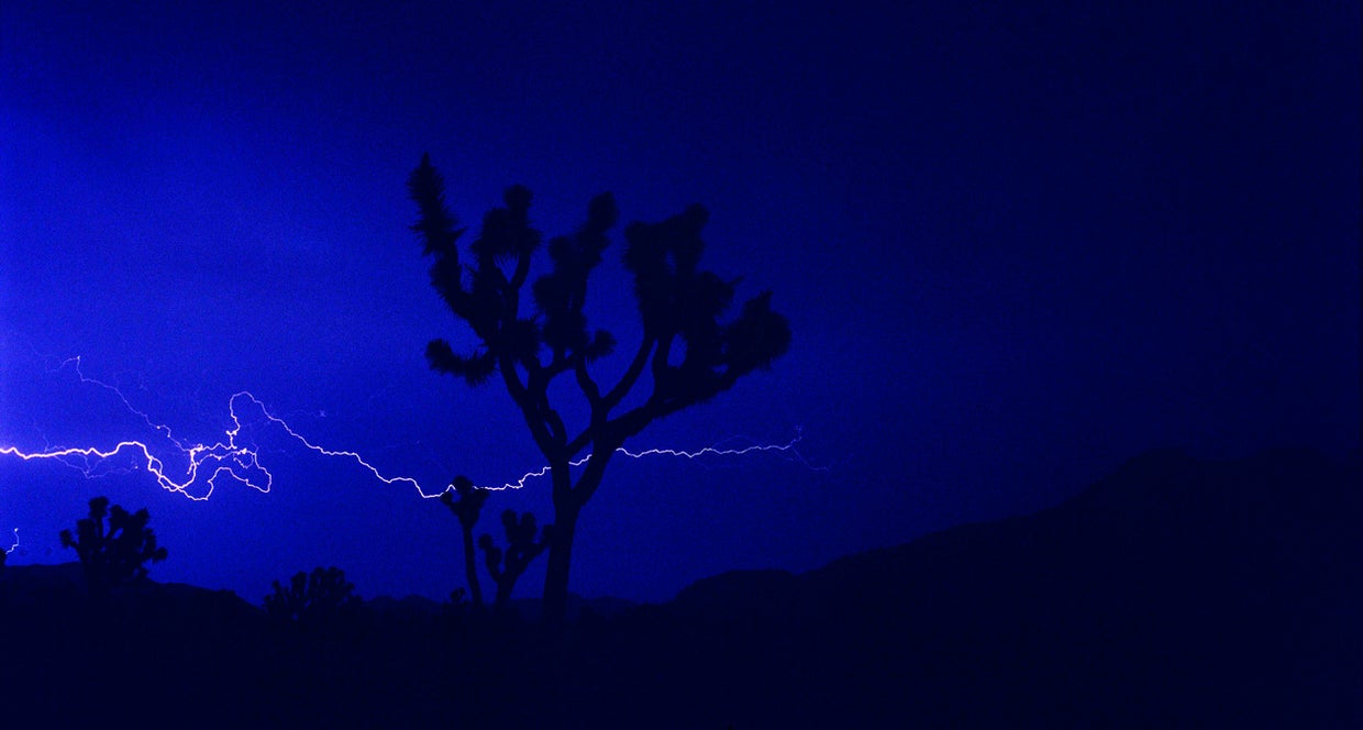 Captured in a flash