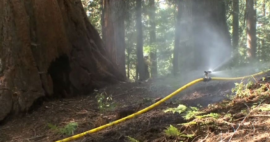 Firefighters set sprinklers on Sequoias to protect against wildfire ...